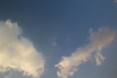 이른 아침에 하얀 구름과 밝은 햇살이 내리쬐는 아름다운 일출 하늘 0명에 대한 스톡 사진 및 기타 이미지 0명 경관 고요한 장면 Istock