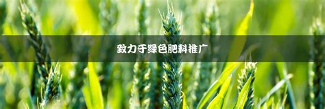 湖北宏福瑞磷化肥有限公司