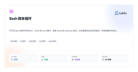 bash 脚本循环与控制流 labex