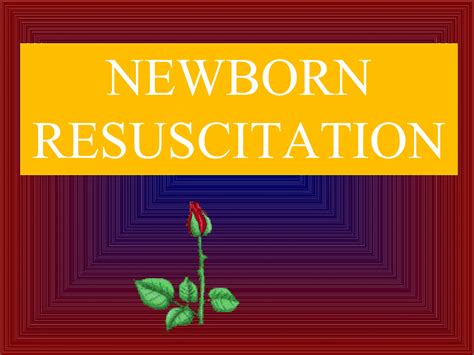 Neonatal Resuscitation 1 Pptx In Obstetrics And Gynecology Pptx