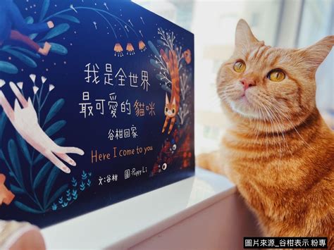 全台首部貓咪創作繪本！揭開流浪經歷：那些黑黑、痛痛的曾不想講 Ettoday寵物雲 Ettoday新聞雲