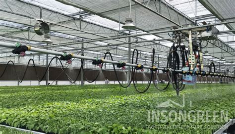 Greenhouse Irrigation System Insongreen