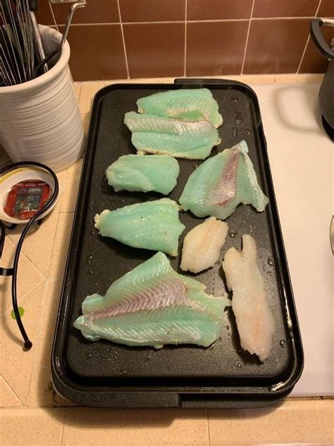 먹으면 죽을거같은데 의외로 먹을 수 있는 물고기 유머 재미 감동 네모판