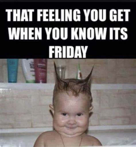 Friday Morning Quotes Funny Good Morning Funny Pictures Friday