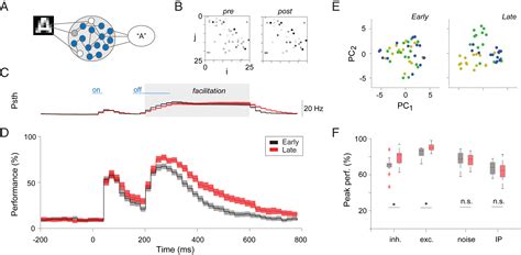 Visual Exposure Enhances Stimulus Encoding And Persistence In Primary Cortex Pnas
