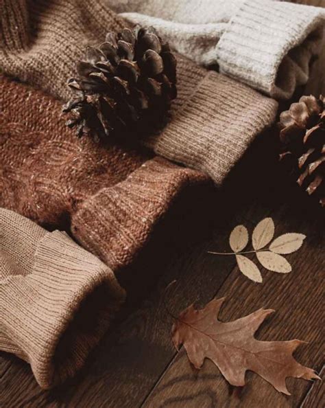 Brown Aesthetic Guide Dark Light And Vintage Moods