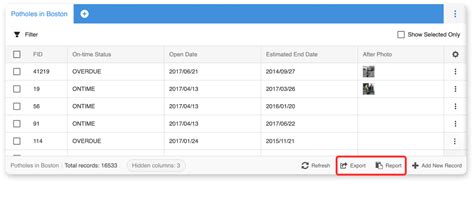 Datagrid Reinvented Powerful New Filters GIS Cloud