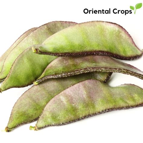 Binhi Pantanim Bataw Hyacinth Bean Vegetable Outdoor Plant Lazada Ph