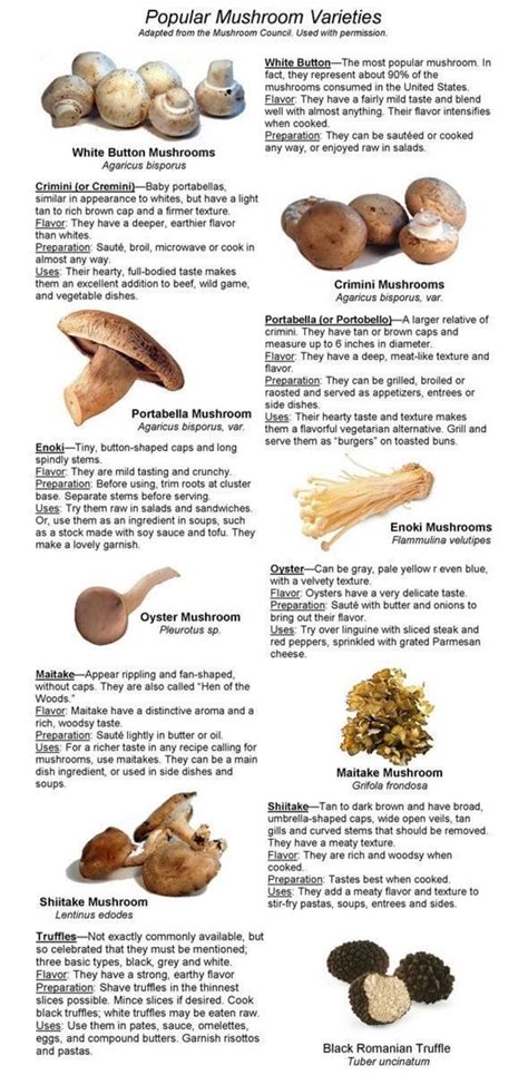 Popular Mushroom Varieties Adapted From The Mushroom Council Used With