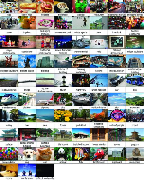 Example Of Representative Photo For Each Scene Example Of