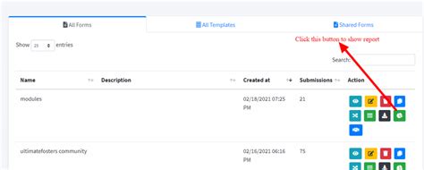 Report Analysing Form Submitted Data Ultimate Fosters