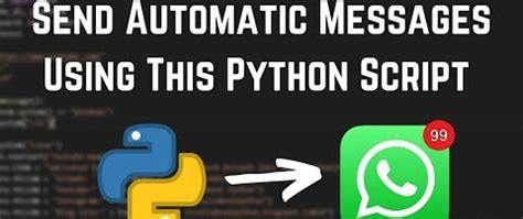 send bulk whatsapp messages in python automate whatsapp using python dev community