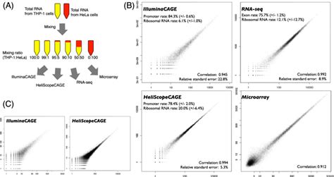 Experimental Design And Reproducibility A Schematic Representation Download Scientific