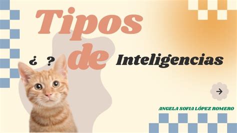 Tipos De Genially