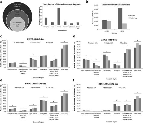 Dynamic Interplay Between Locus Specific Dna Methylation And