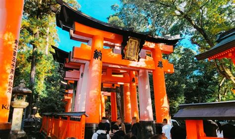 교토 후시미 이나리 신사 비디오 가이드 투어