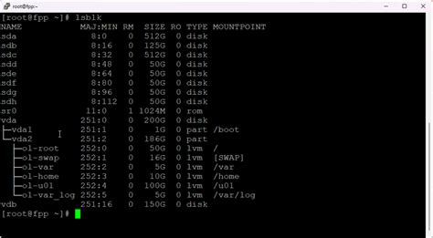 Lsblk Tales From The Datacenter V2 0