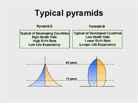 Population Pyramids Population Pyramid Or Agesex Ratio 1931