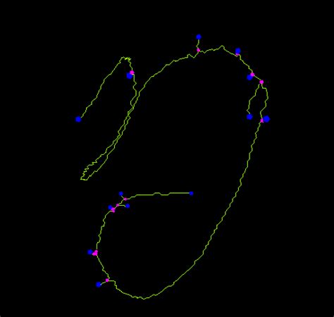 Analyzeskeleton Imagej