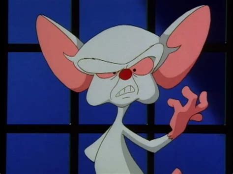 Image Take Over The World Pinky And The Brain Wiki Wikia
