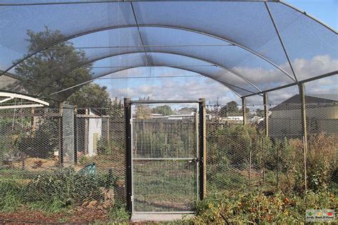 2024 Kyneton Bird Netting Orchard Enclosure Leaf Root And Fruit Gardening Services
