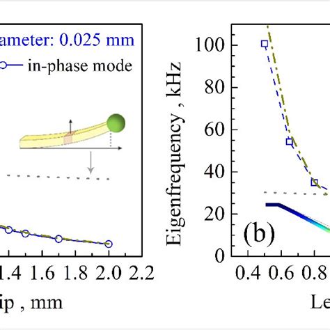 Color Online Block Diagram Of The Pm Afm With A Quartz Tuning Fork Download Scientific