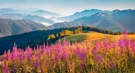 Policy Recommendations — Business For Nature