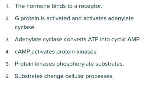 Reproductive Flashcards Quizlet Reproductive Flashcards Quizlet