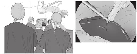 Pdf Multimodality Learning And Communication A Social Semiotic Frame