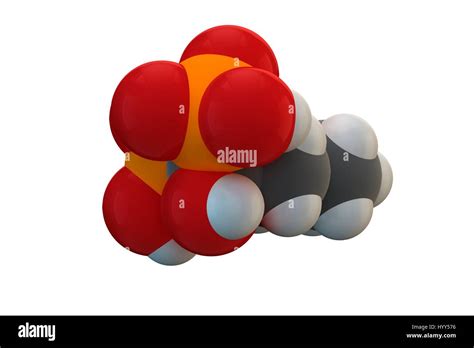 Alendronic Acid Alendronate Bisphosphonate Class Osteoporosis Drug
