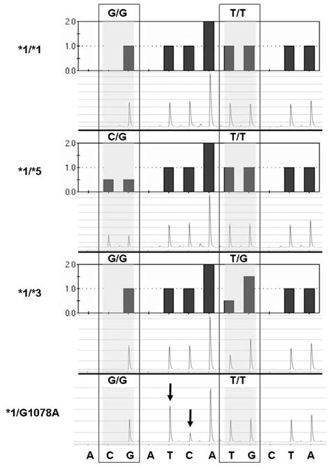 histograms and pyrograms showing cyp2c9 5 and cyp2c9 3 genotyping