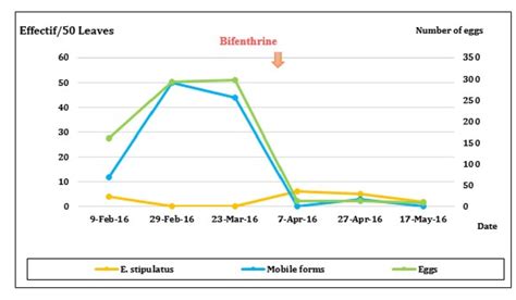 The Population Dynamics Of P Citri And The Predatory Mite E Download Scientific Diagram