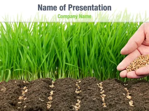 Planting PowerPoint Templates Planting PowerPoint Backgrounds Templates For PowerPoint