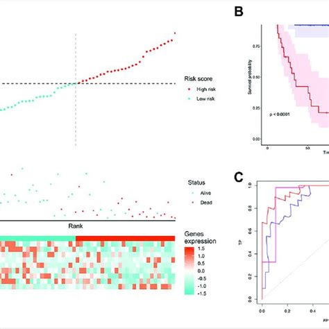 GSVA And GSEA Analysis Of The GEO Cohorts A GSVA Analysis Of Download Scientific Diagram