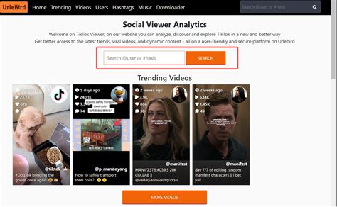 Can You See Your Tiktok Story Viewer In 2025 Build My Plays