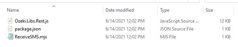 Node Js Receive Sms With The Rest Api Code Sample