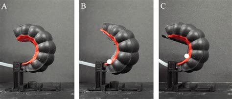 Effective Curvature Plots Overlaid For Clarity Each Plot Shows Download Scientific Diagram