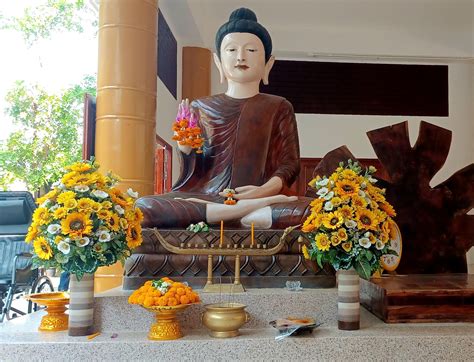 วันที่ วัดป่าโคกยาง บ้านสวาย ตเป็นสุข อจอมพระ จสุรินทร์