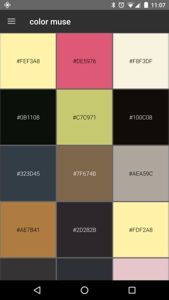 Color Muse Color Muse Munimorogobpe