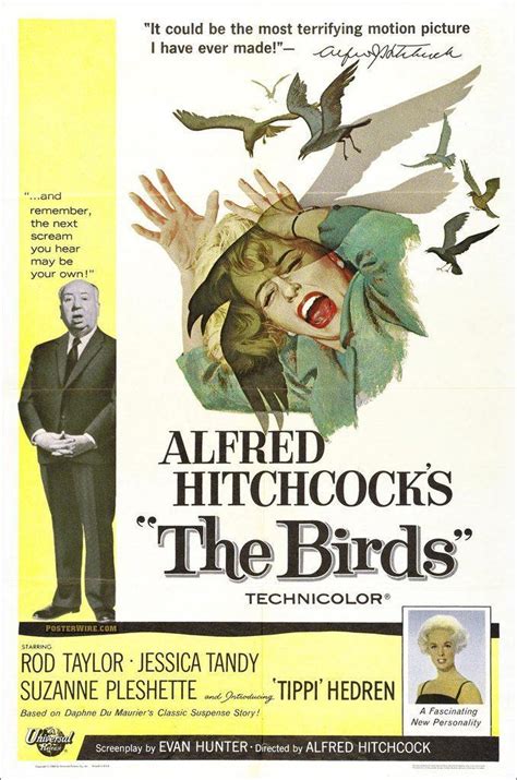 Suzanne Pleshette The Birds