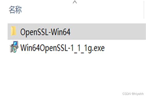 大数的运算——调用openssl库函数实现（vs2019）vs怎么调试openssl的源码 Csdn博客