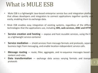 Mule Esb And Relevant Components PPT