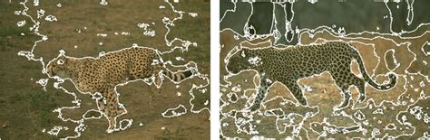 Initial Segmentation Results Of Two Images With Complex Textures