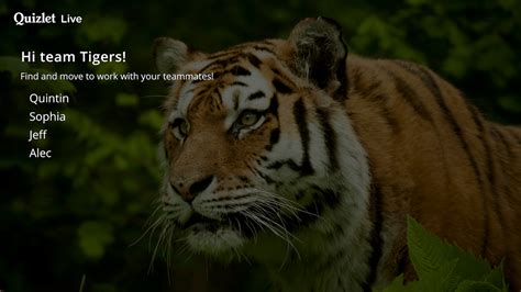 Introducing Our First Collaborative Learning Game For The Classroom Quizlet Live Quizlet