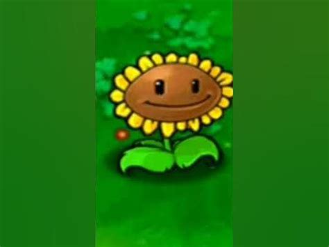 Воспоминания подсолнуха #пвз #pvz - YouTube