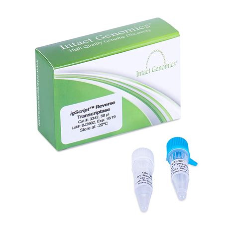 Reverse Transcriptase IgScript Intact Genomics