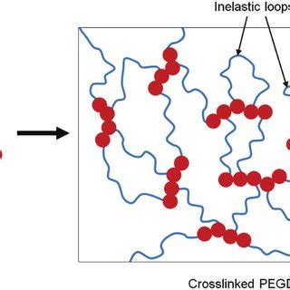 A Schematic Representation Of A Crosslinked Copolymer Network Download Scientific Diagram