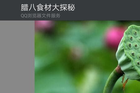 荷花酒杜蕾多少一瓶