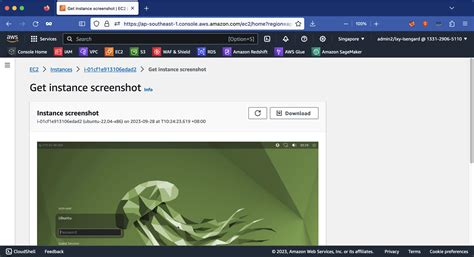 Ec2 Ubuntu操作系统（x86 64架构）装mate桌面并使用vnc登录