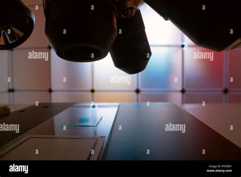 Close Up Microscope Objective And Slide Stock Photo Alamy